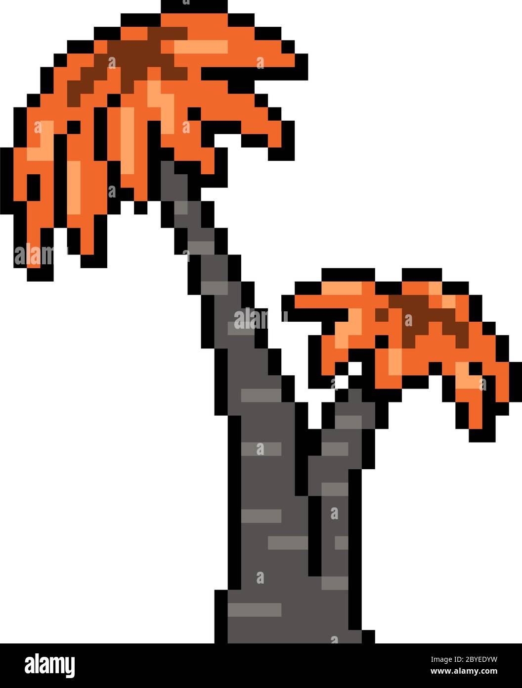 Very tall palm tree Stock Vector Images - Alamy