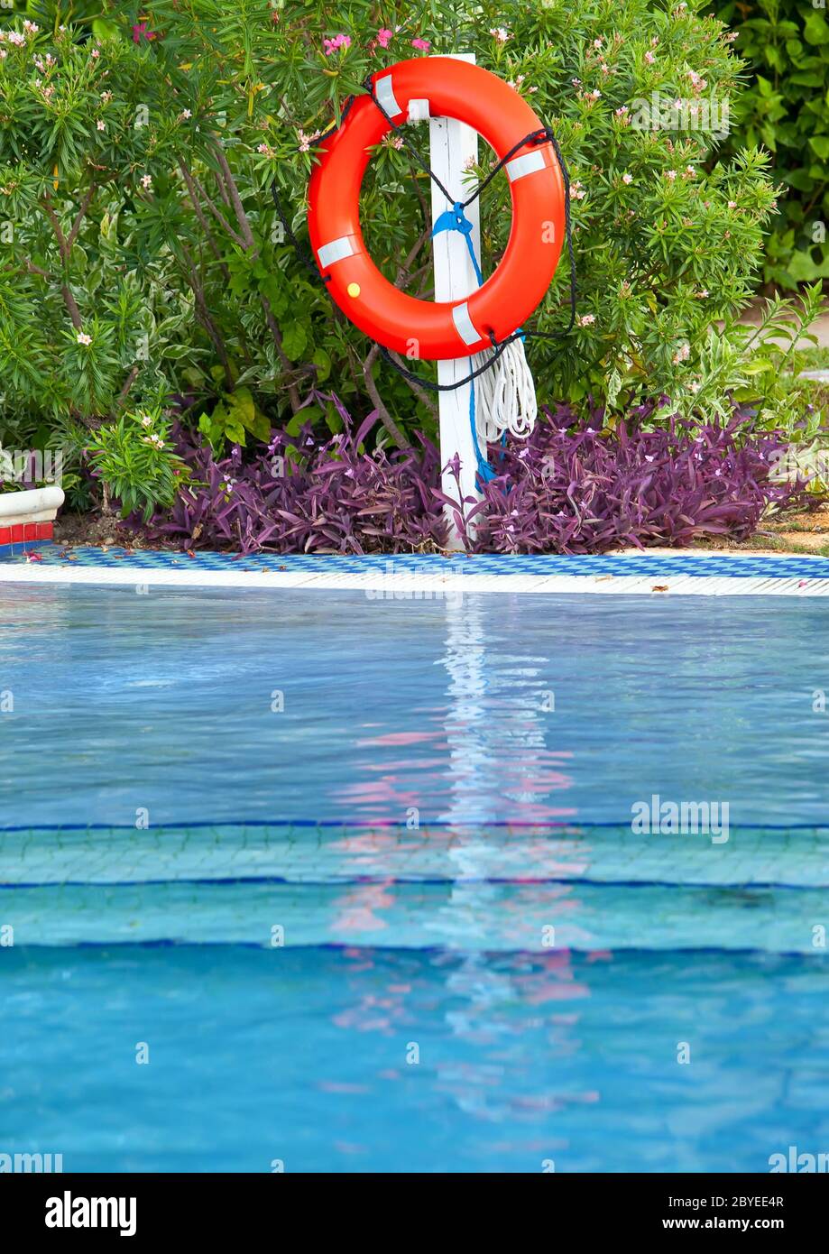 Lifebuoy near the pool Stock Photo - Alamy