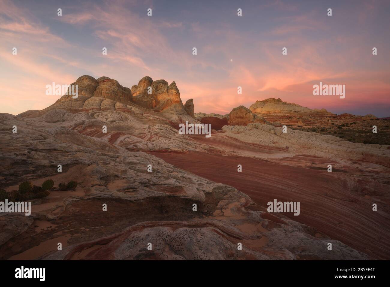 The back of dragon. Rock formation in White Pocket, Arizona, USA ...