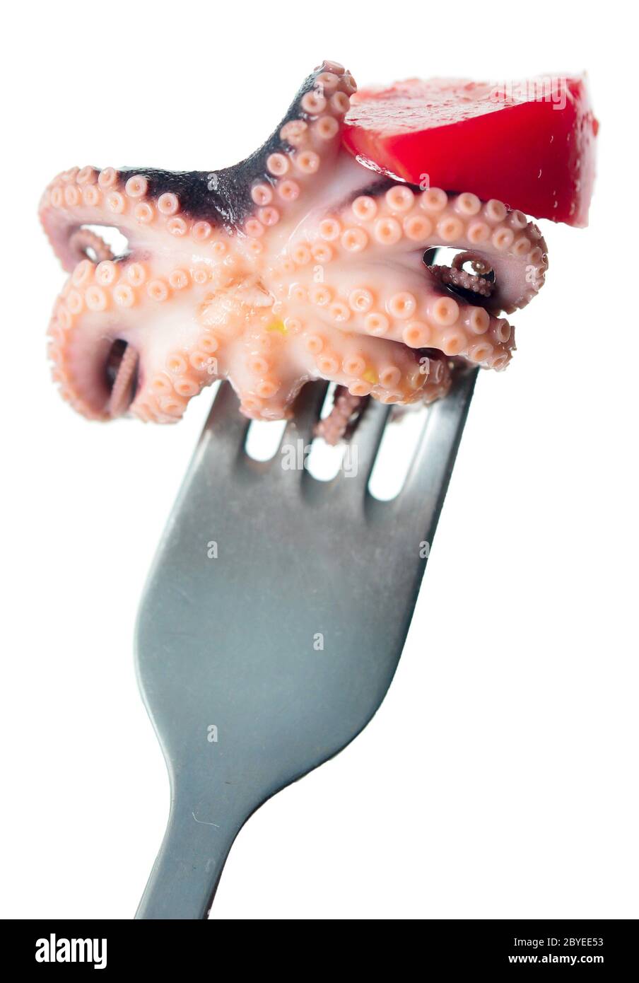 Fork tentacle hi-res stock photography and images - Alamy