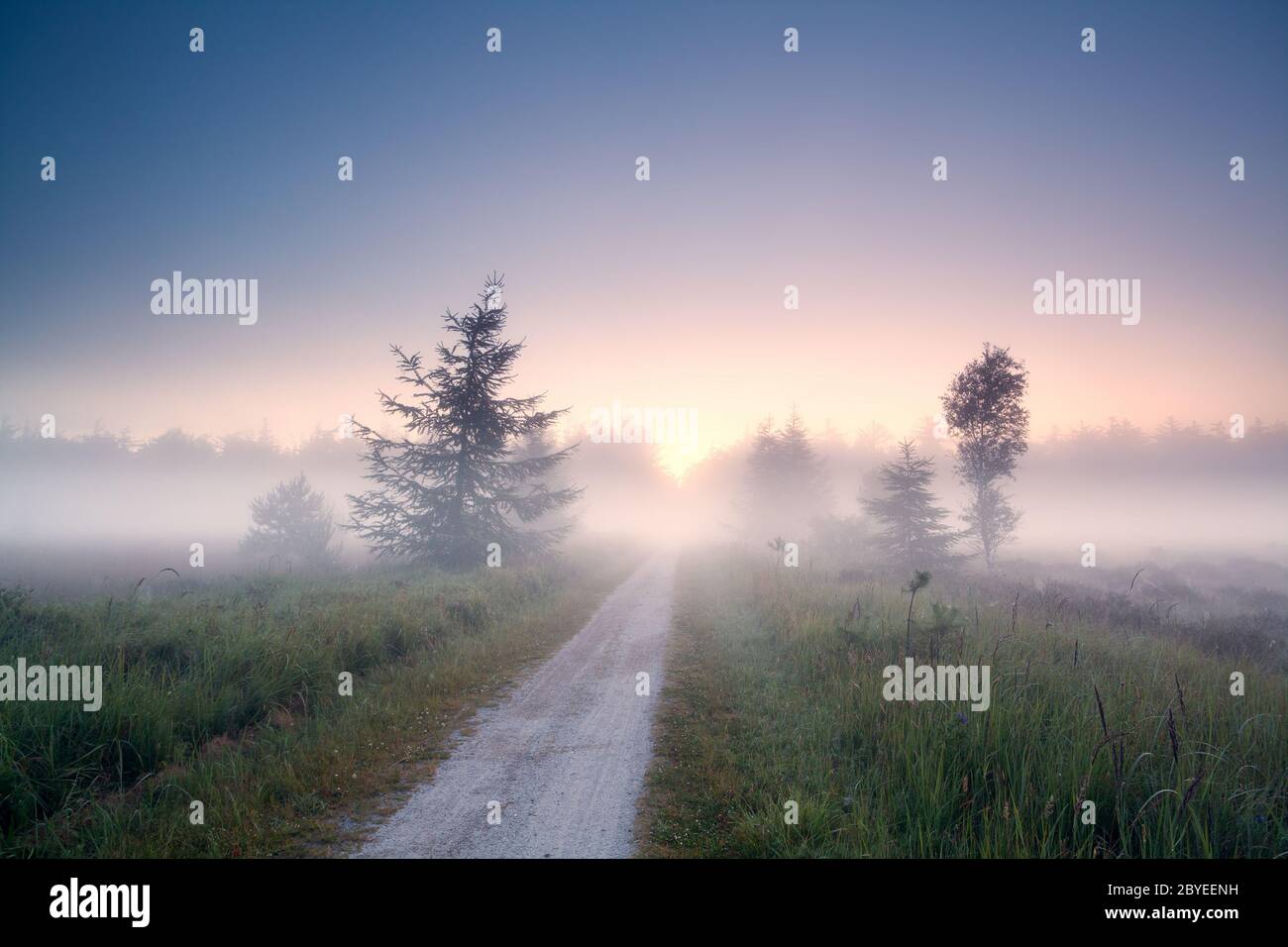 Ground fog sunrise hi-res stock photography and images - Alamy