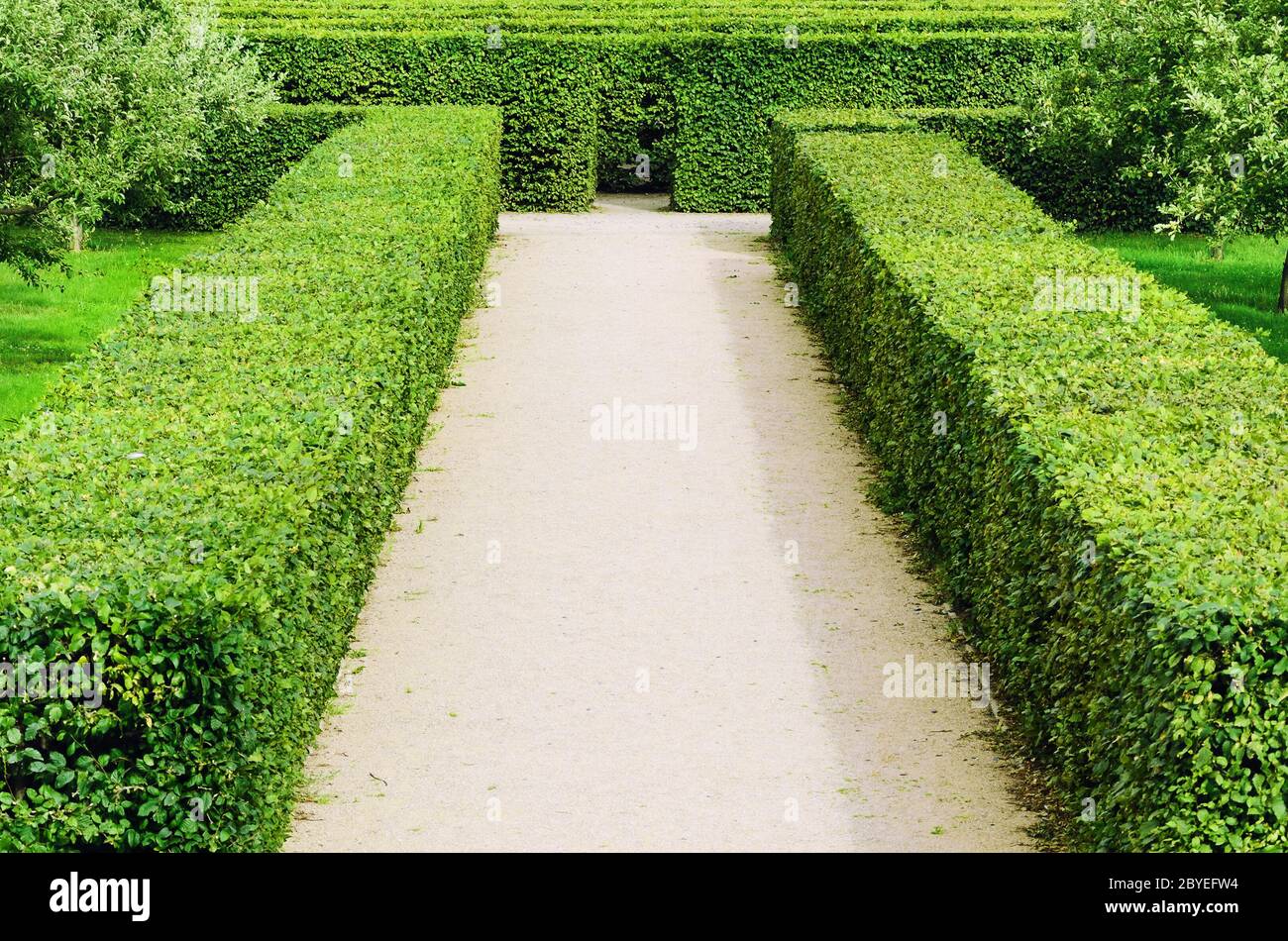 Alley Labyrinth High Resolution Stock Photography and Images - Alamy