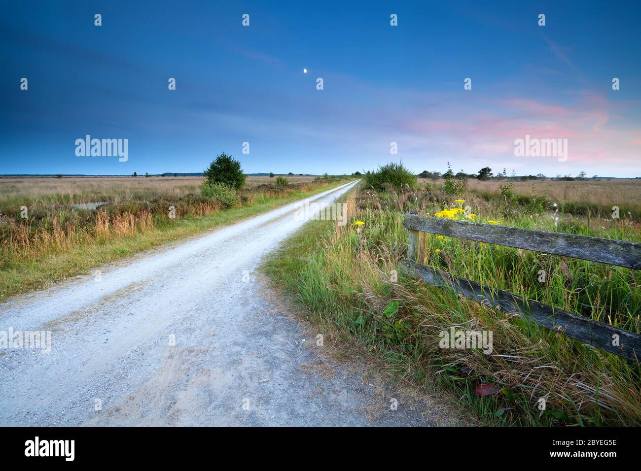 Moonlight trip hi-res stock photography and images - Alamy