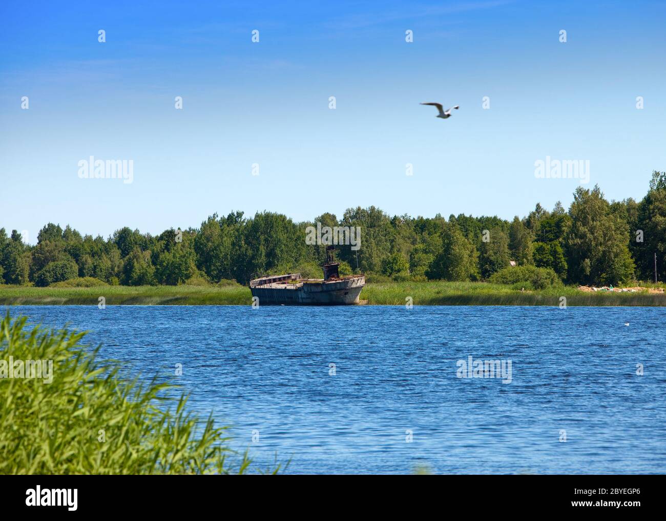 Water of luga hi-res stock photography and images - Alamy