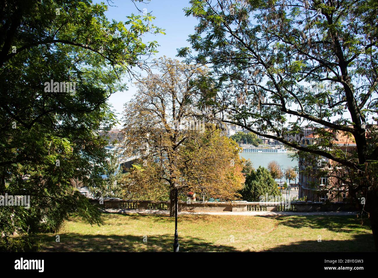 The foreign environment of plants hi-res stock photography and images ...