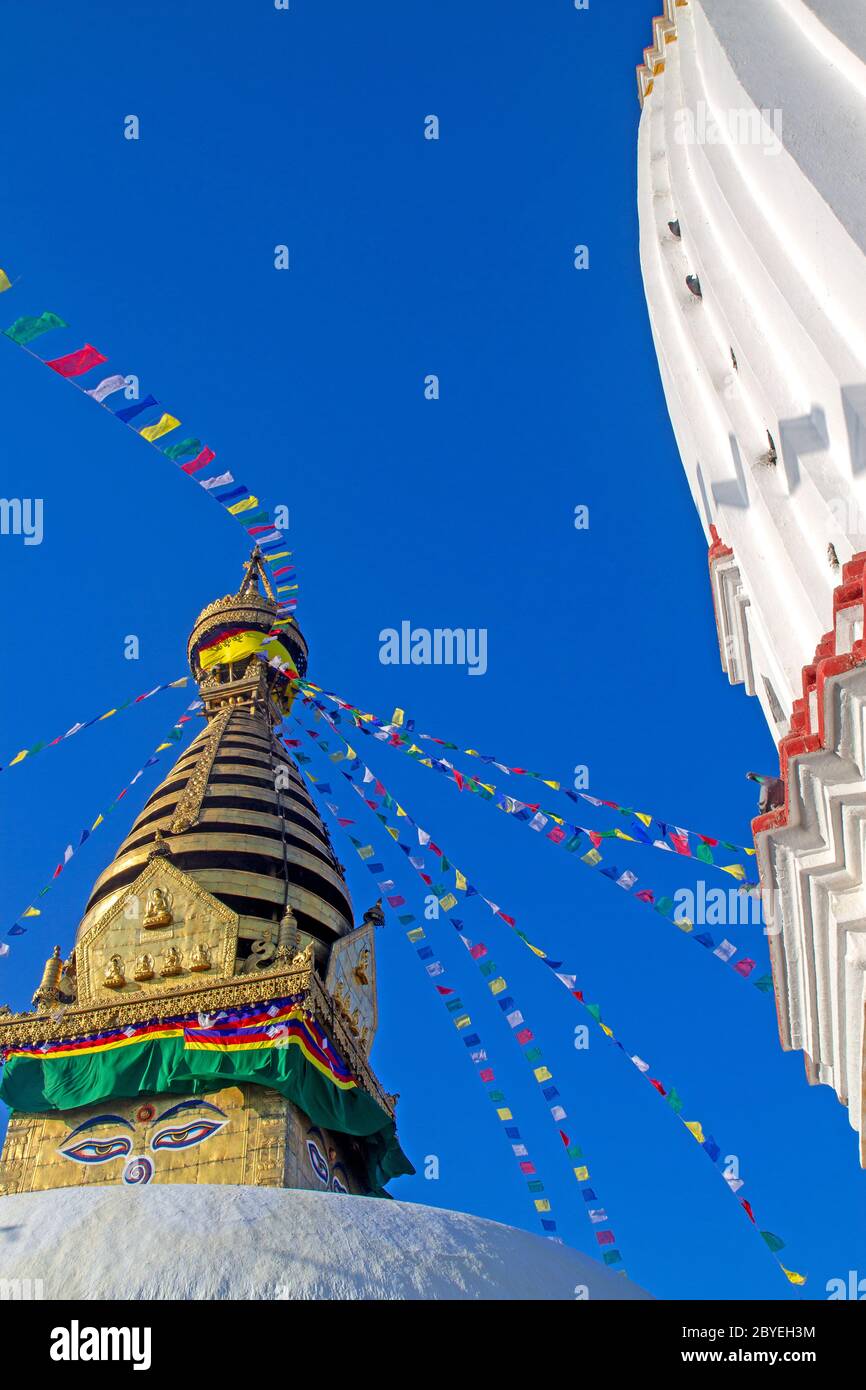 Monkey temple hi-res stock photography and images - Alamy