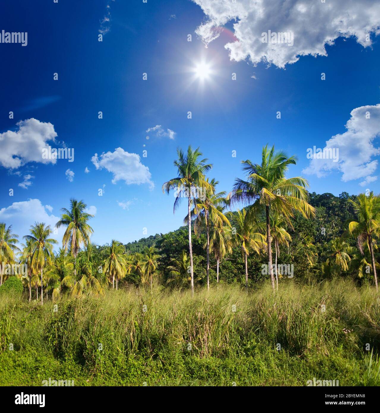 Tropical mountain slope hi-res stock photography and images - Alamy