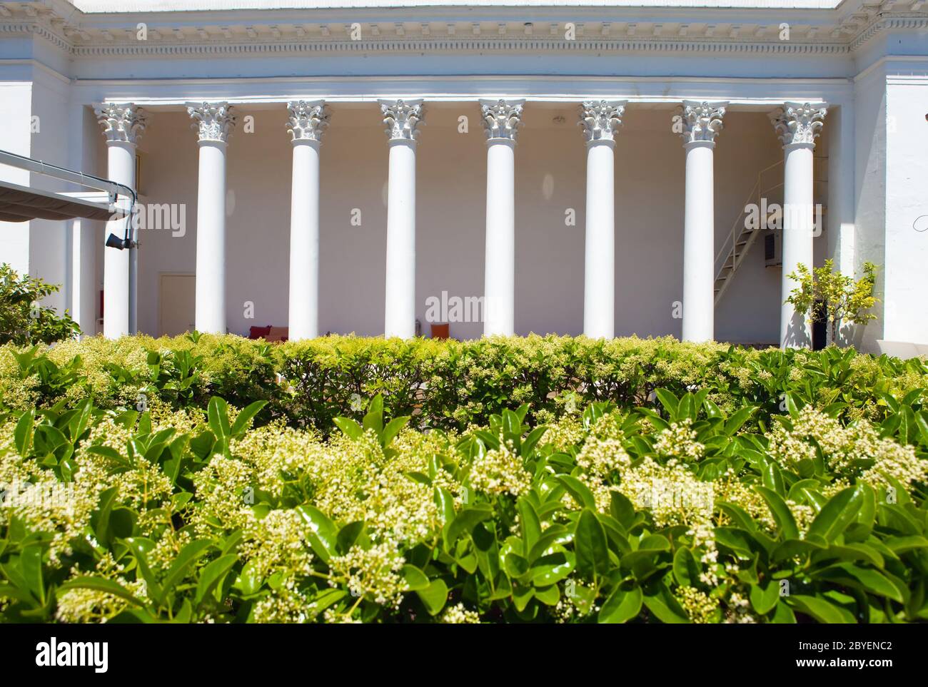 building facade with columns and a green lawn befo Stock Photo - Alamy