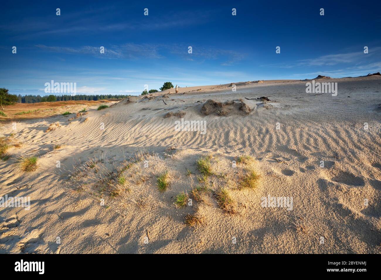 sand texture on dune Stock Photo - Alamy