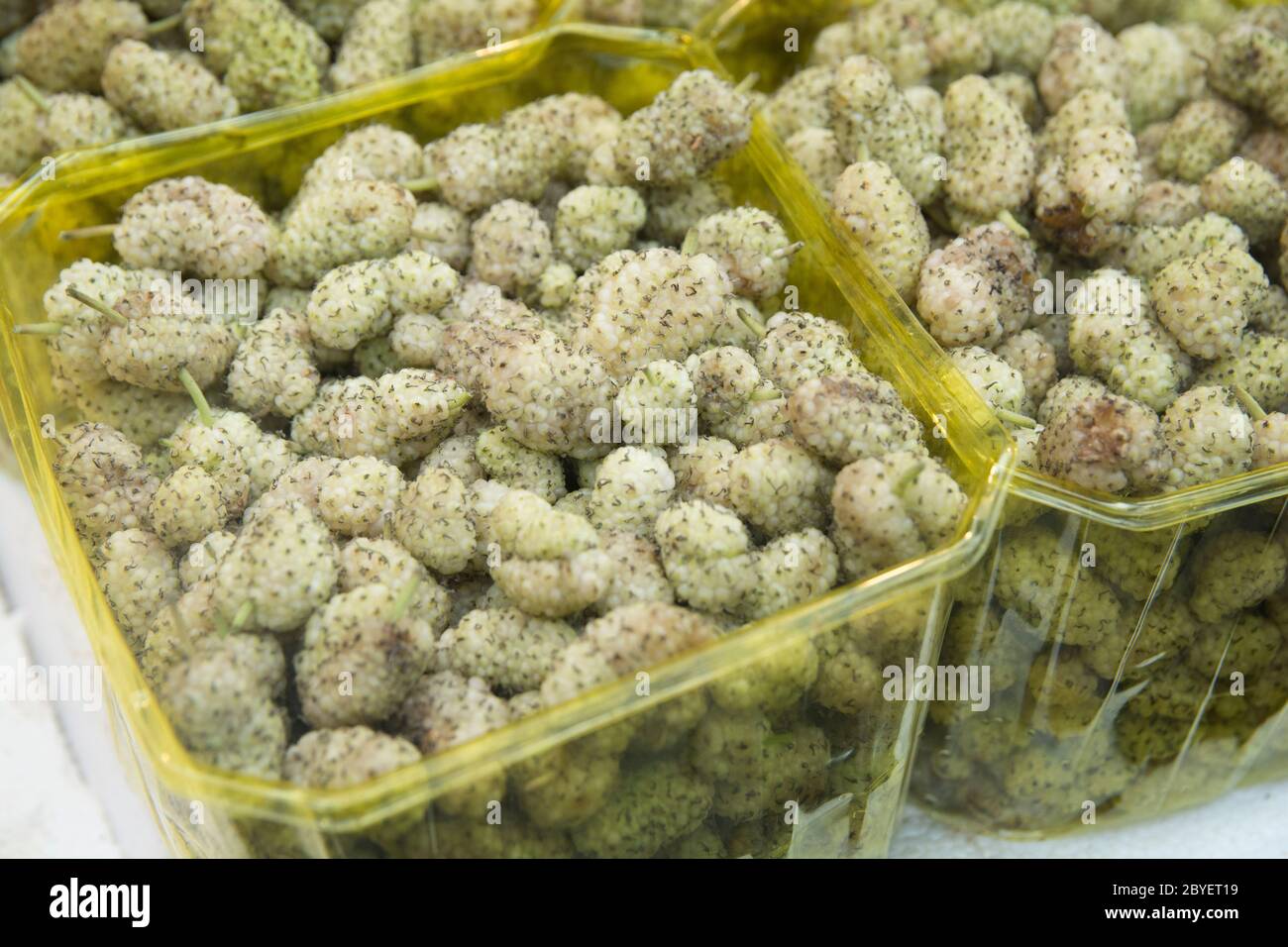 A pile of White Mulberry (Morus) fruit for sale, in the Mahane Yehuda ...