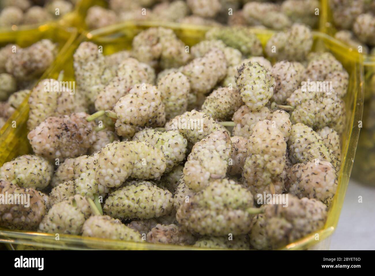 A pile of White Mulberry (Morus) fruit for sale, in the Mahane Yehuda ...