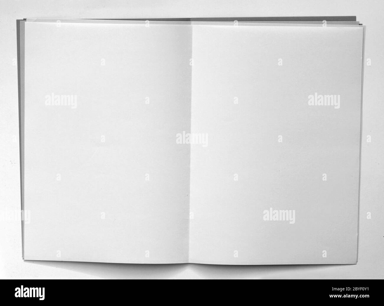 Blank space copy paste Black and White Stock Photos & Images - Alamy