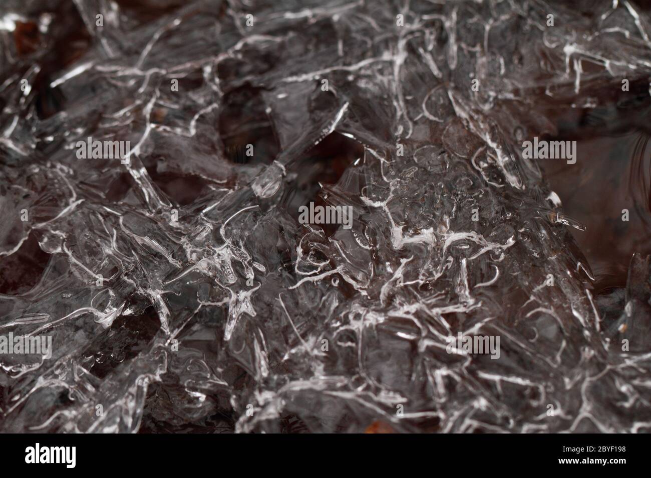Flowing water in a brook is covered by clear ice Stock Photo - Alamy