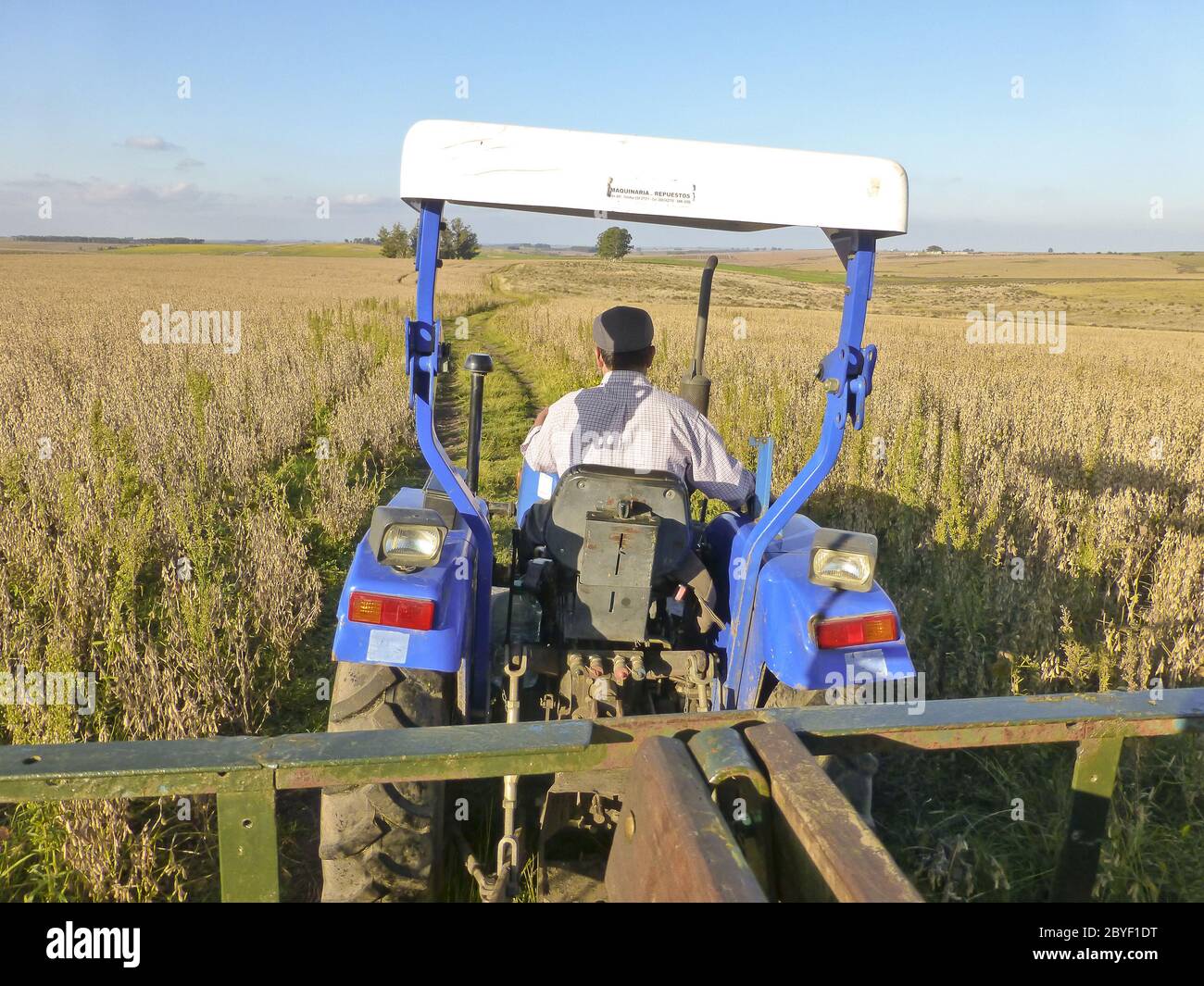 Man driving a tractor hi-res stock photography and images - Alamy