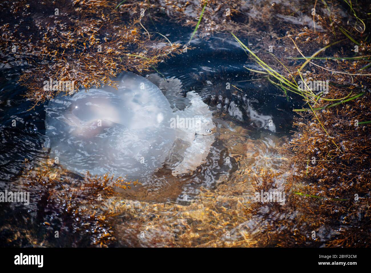 Burning bubble hi-res stock photography and images - Alamy