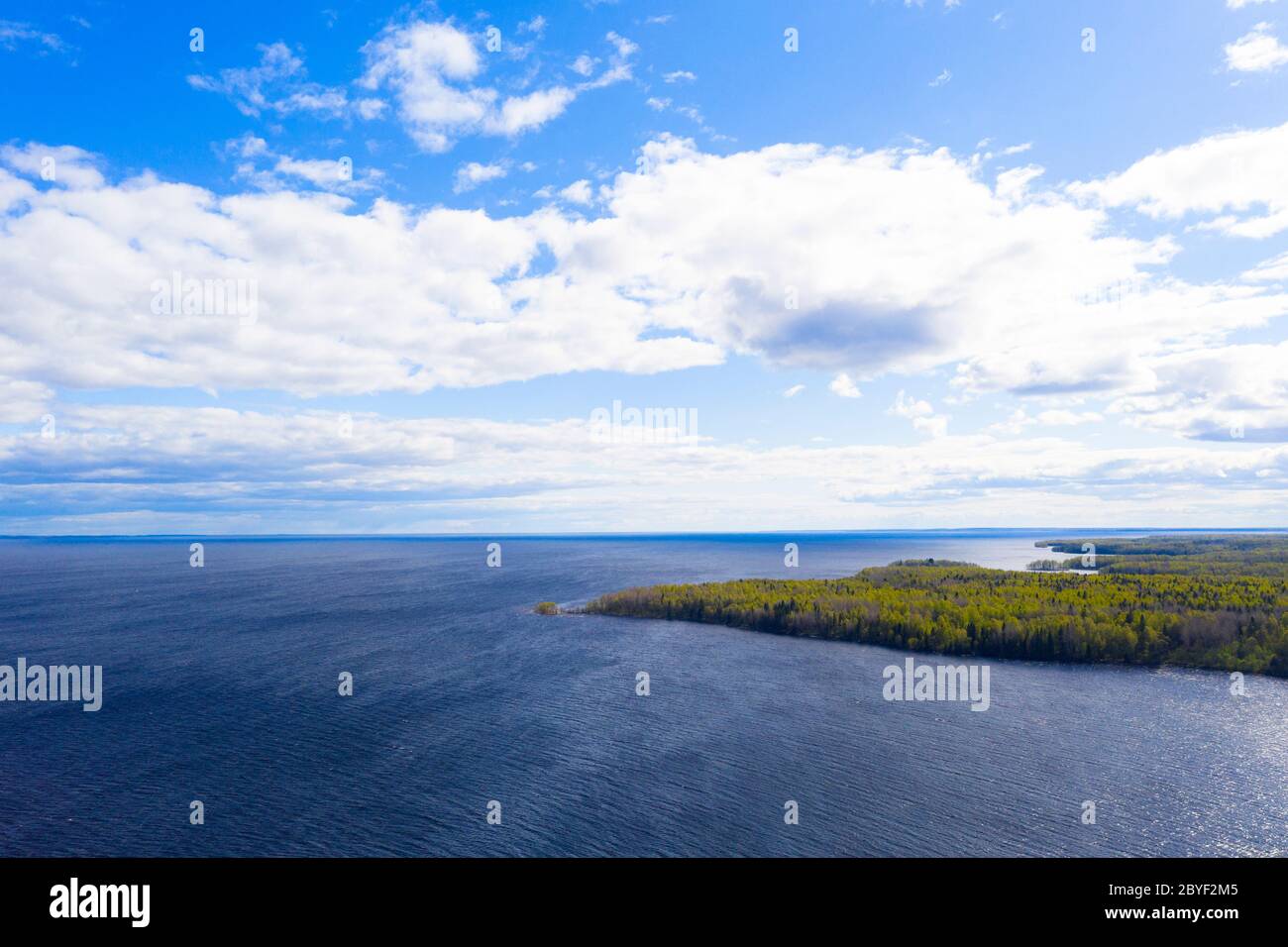 Aerial view summer forest and lake. Top view. Coastline view from drone ...