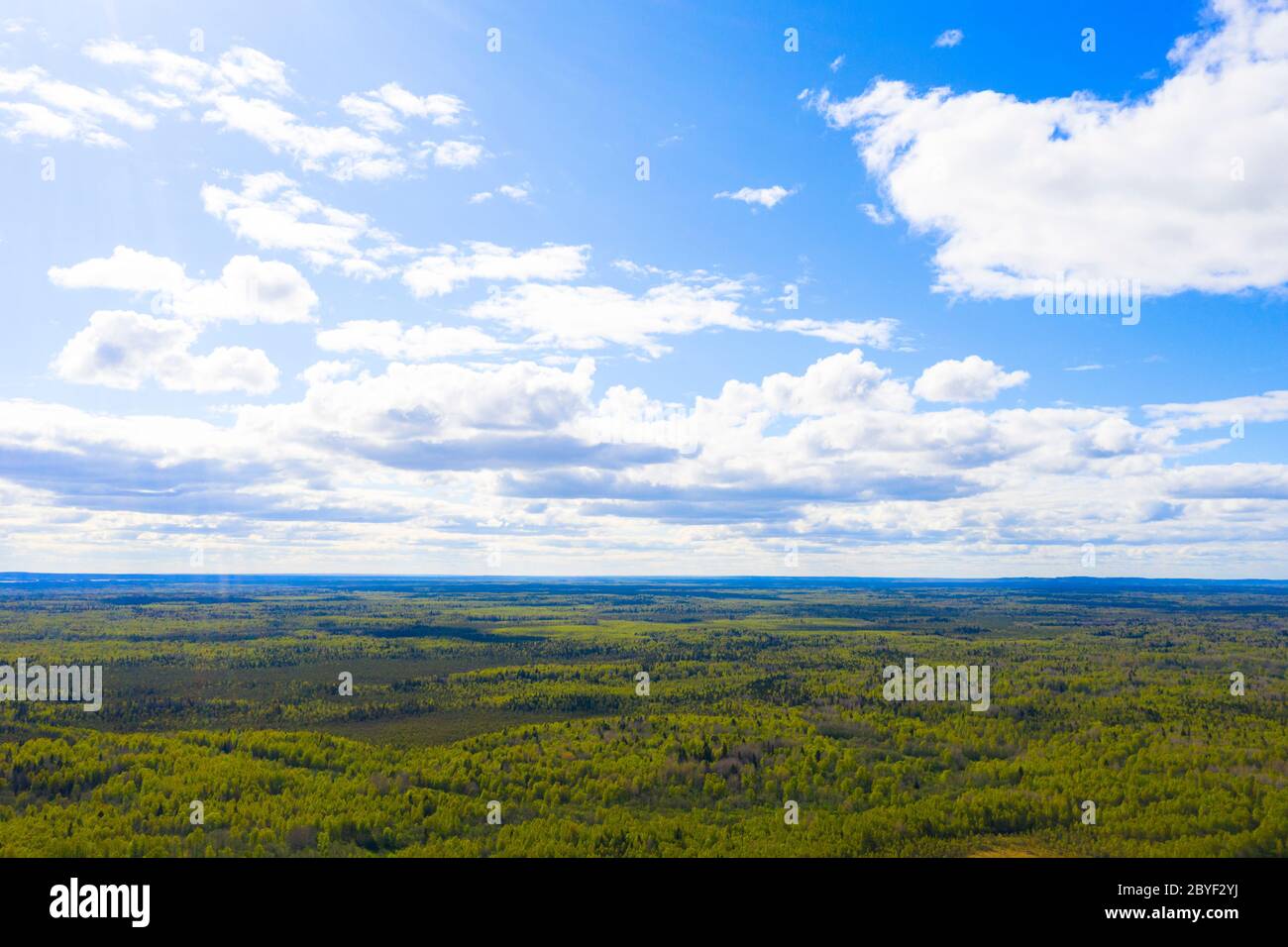 Aerial view of a green forest. Beautiful landscape. Clouds over the ...