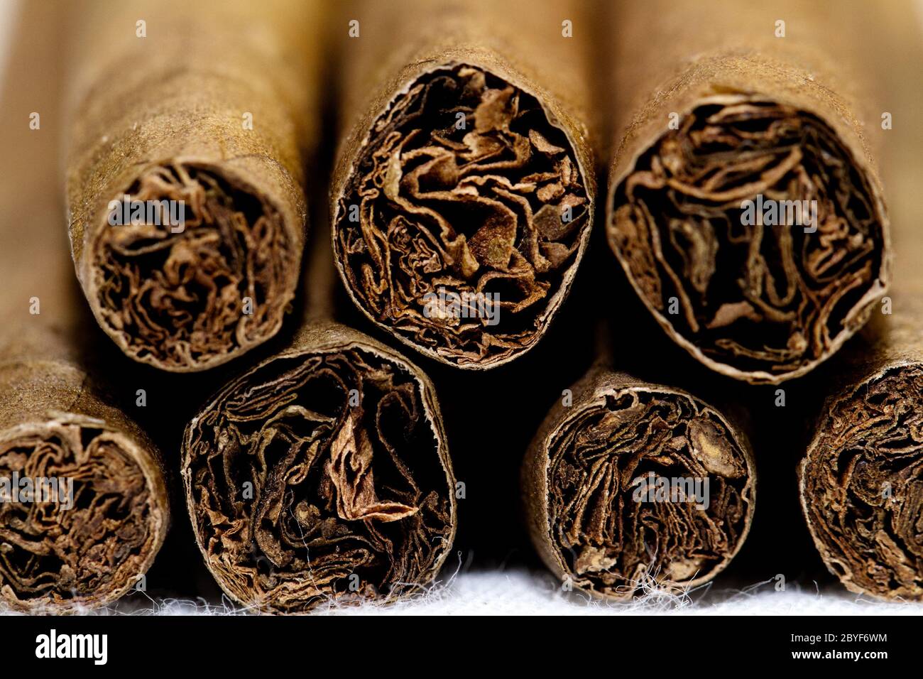 Small cigars hi-res stock photography and images - Alamy