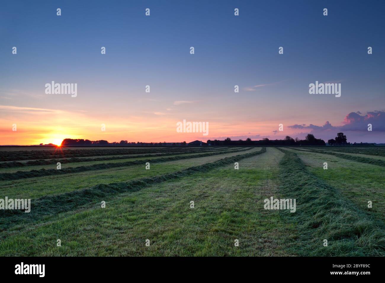 Hay rows hi-res stock photography and images - Alamy