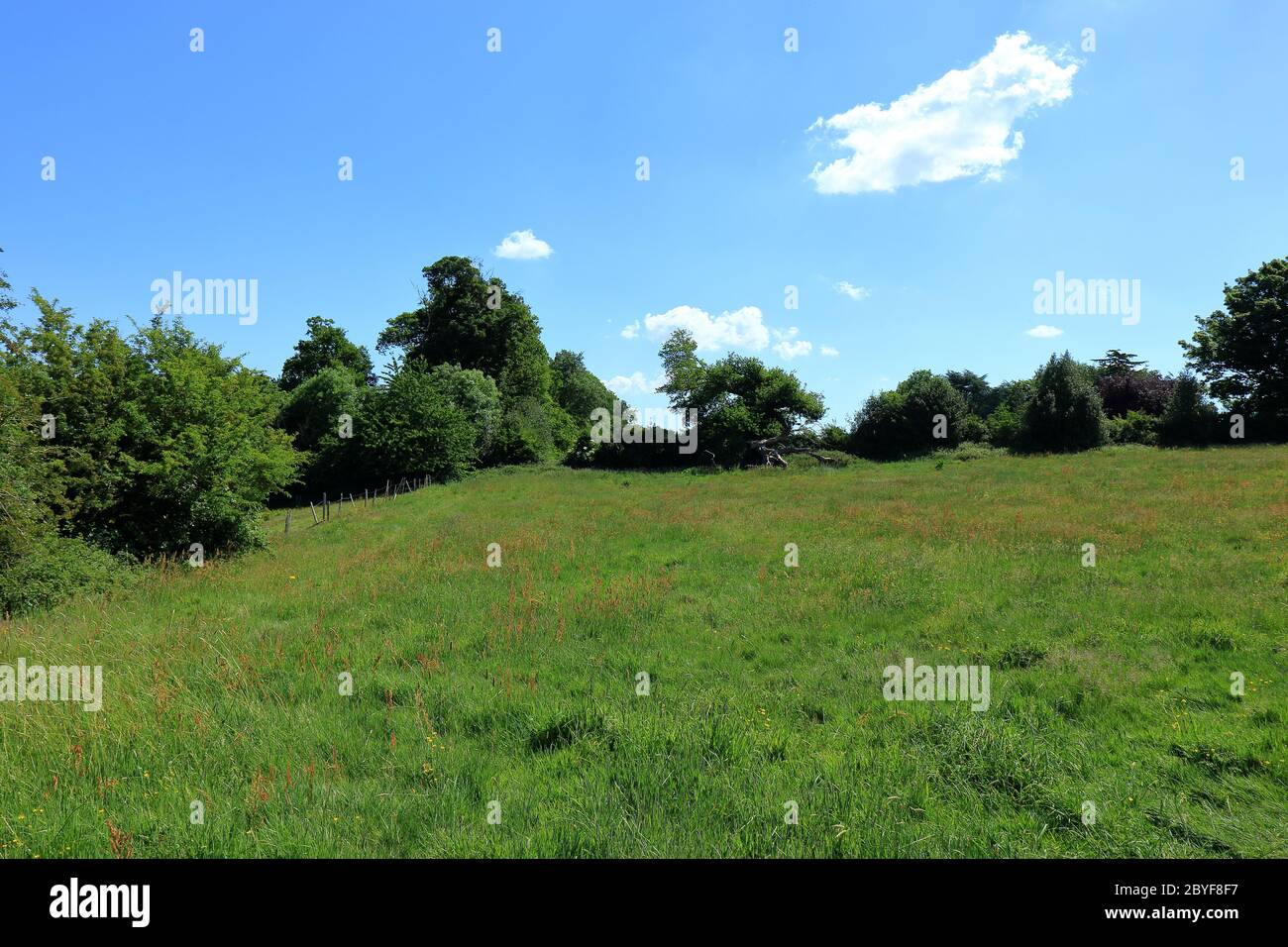Green fields and trees in the Westerham Countryside Stock Photo - Alamy