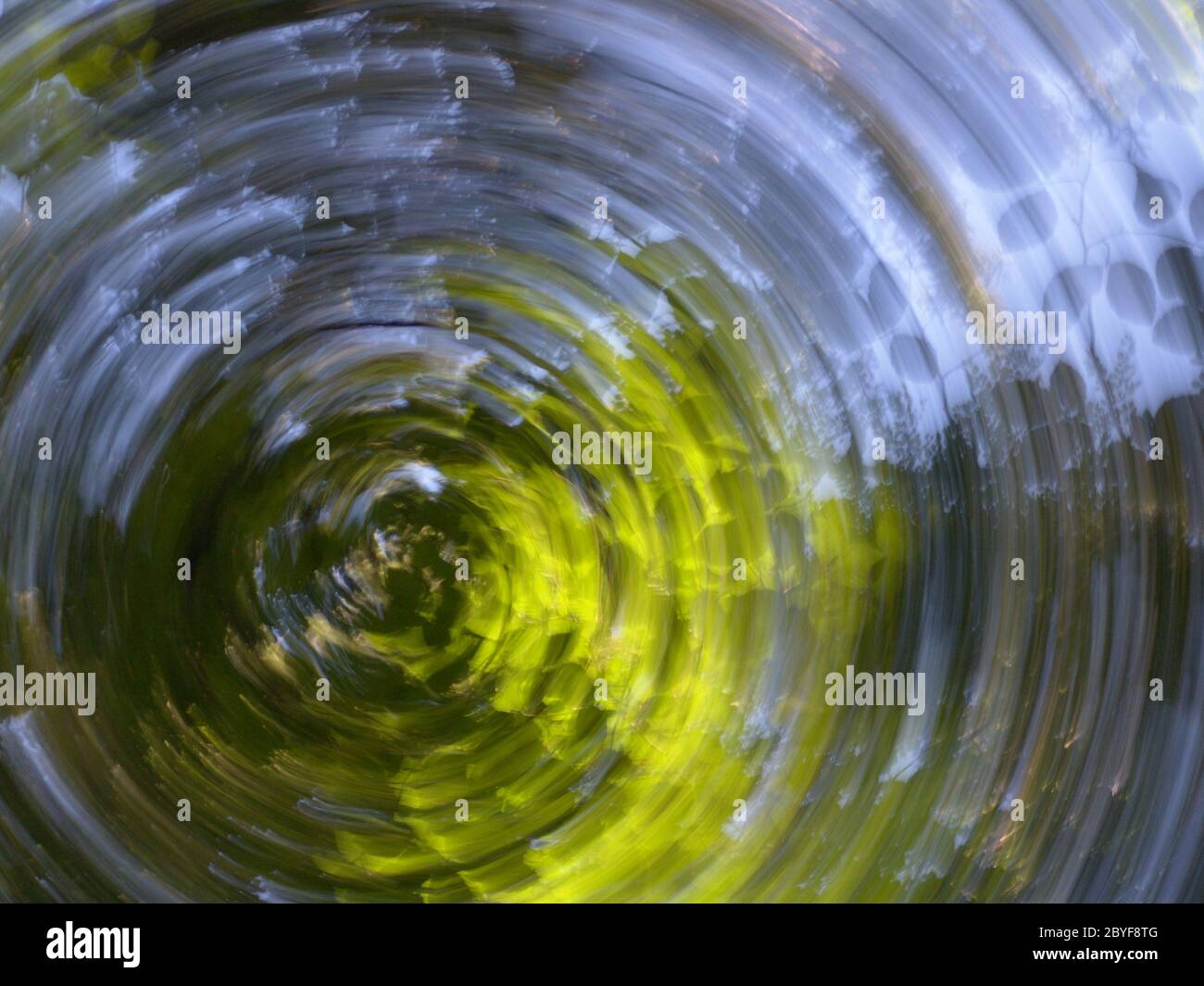 Leaf canopy hi-res stock photography and images - Alamy