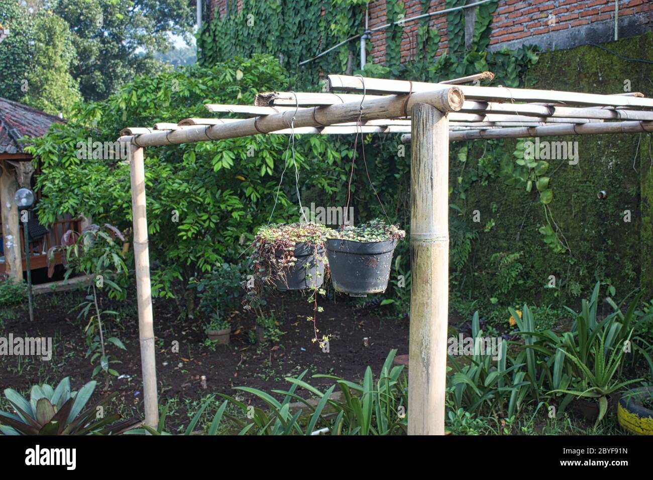 Bamboo structure hi-res stock photography and images - Alamy