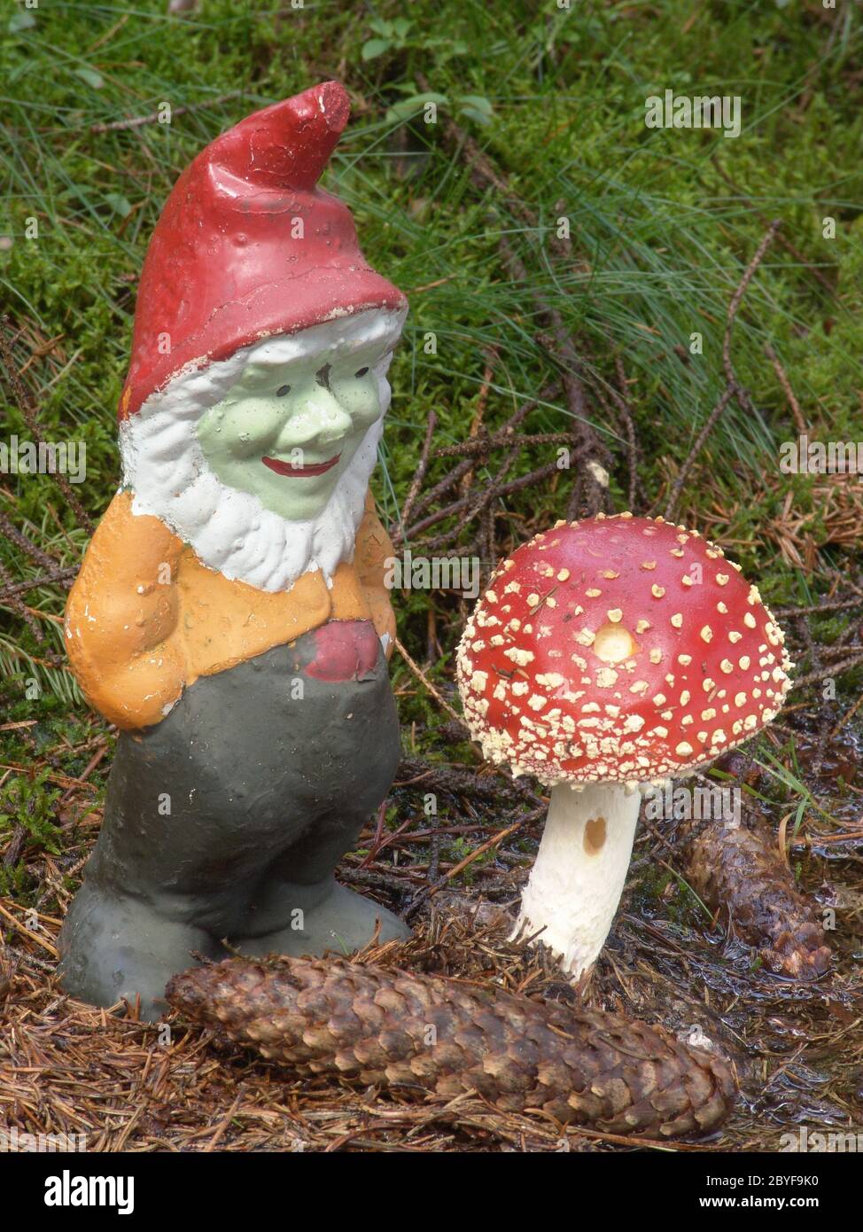 Garden gnome and toadstool Stock Photo - Alamy