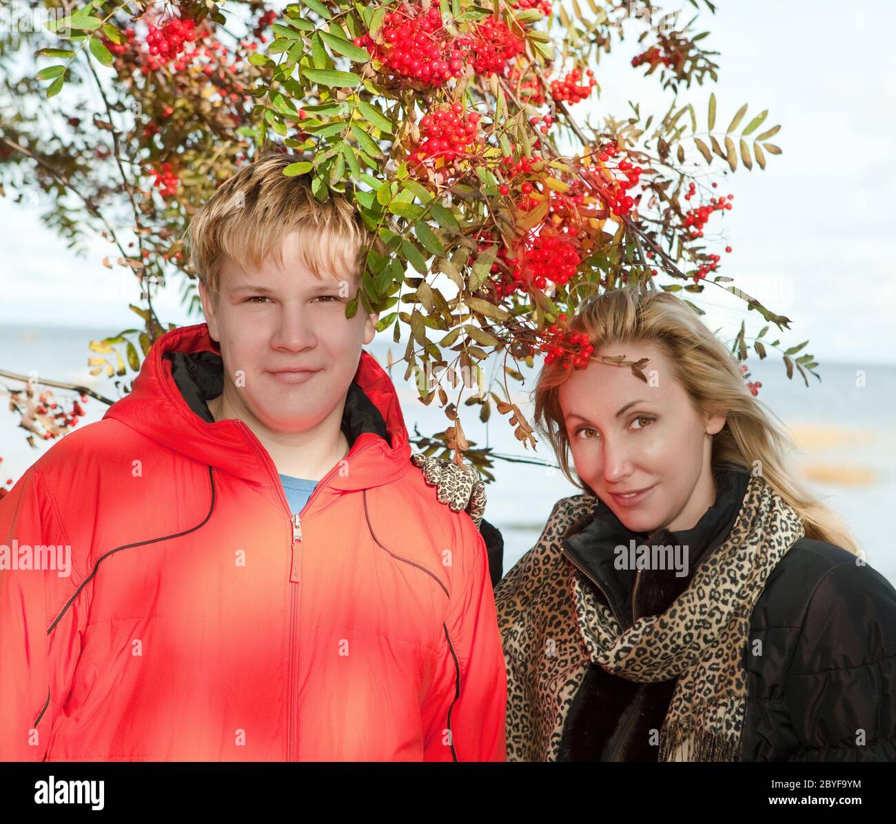 Ash bush hi-res stock photography and images - Alamy