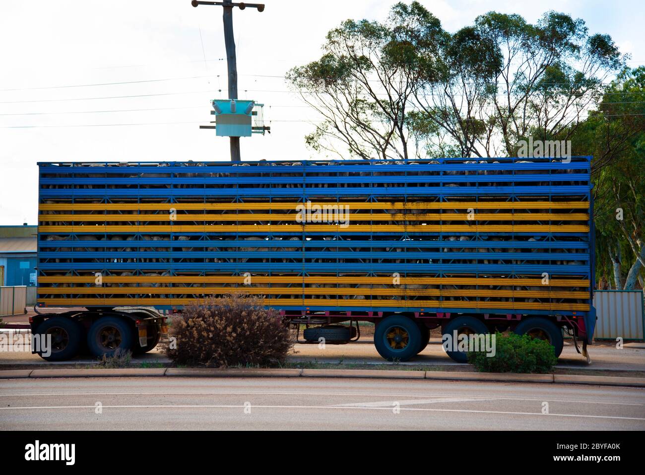 Livestock transport hi-res stock photography and images - Alamy