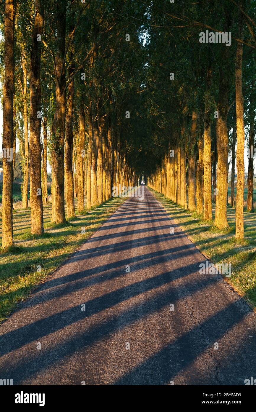 View from bike line hi-res stock photography and images - Alamy
