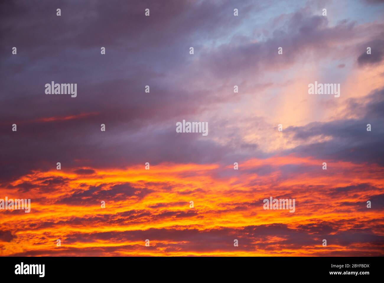 Vivid colored hi-res stock photography and images - Alamy