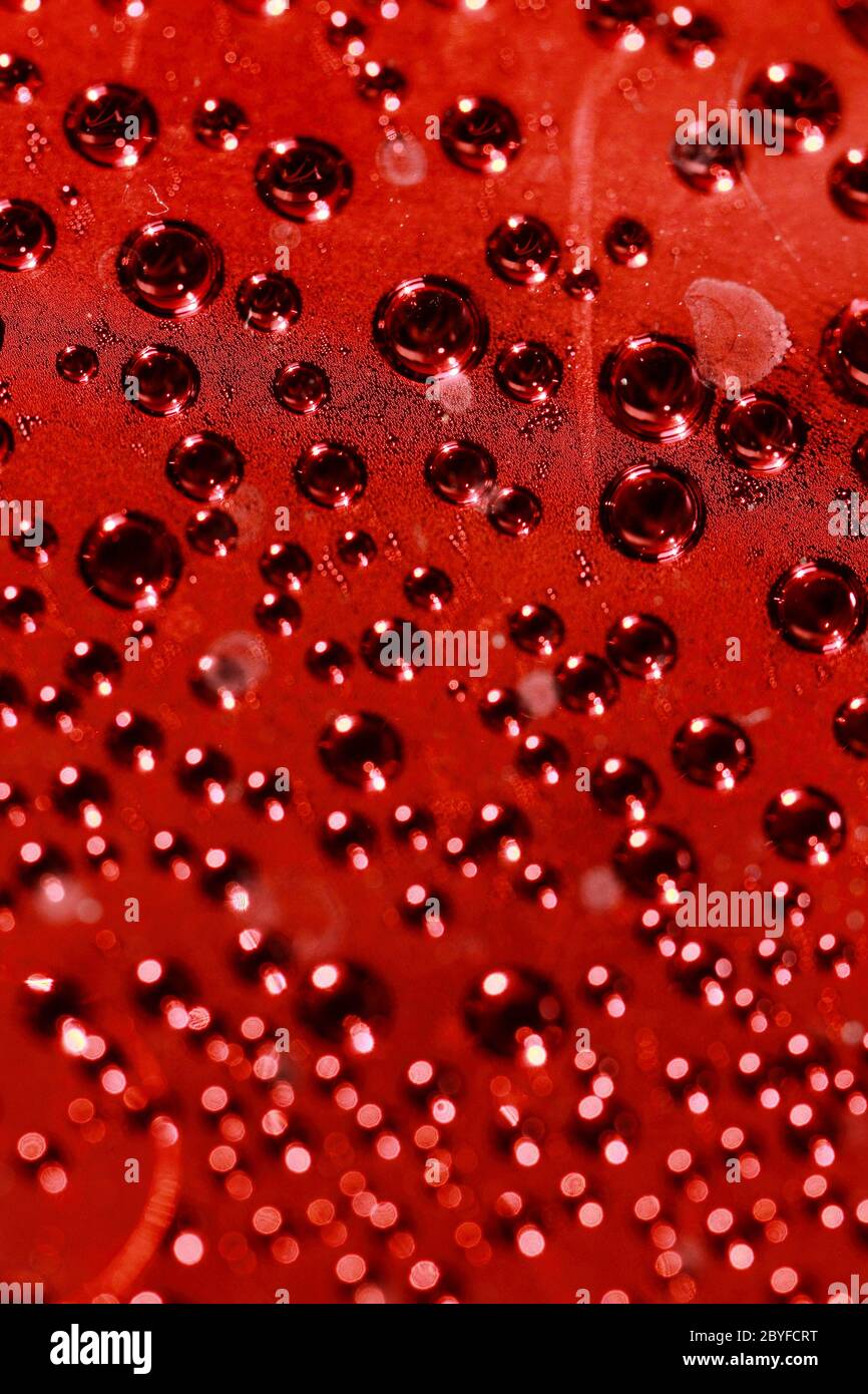 Background of beautiful water drops Stock Photo - Alamy