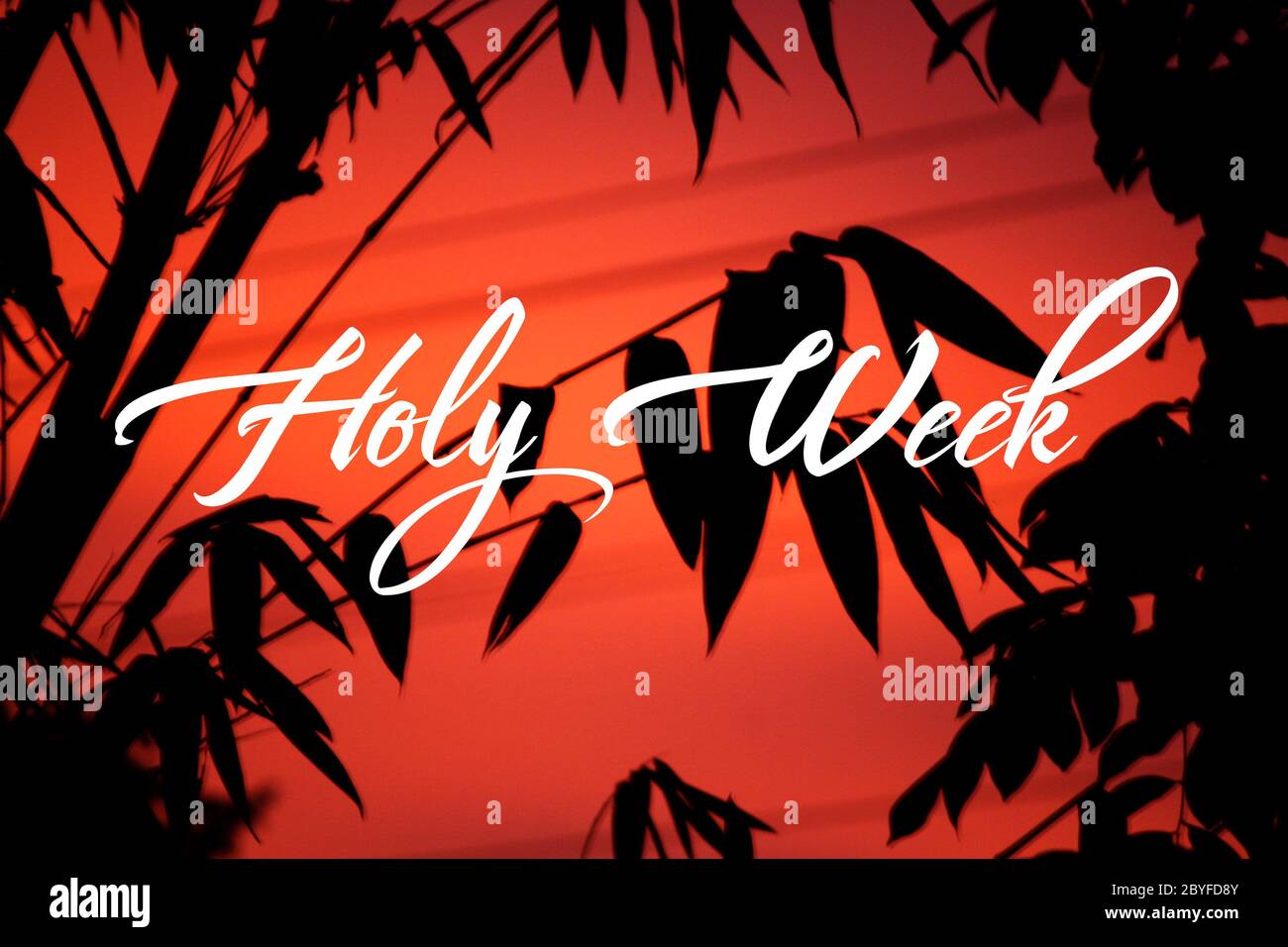 Holy Week wording with sunset and sillouette leaf background Stock ...