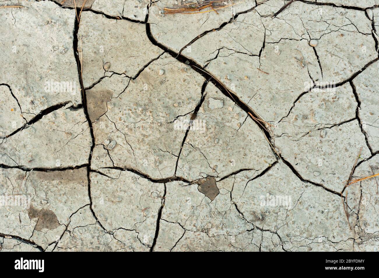 Cracked soil texture hi-res stock photography and images - Alamy