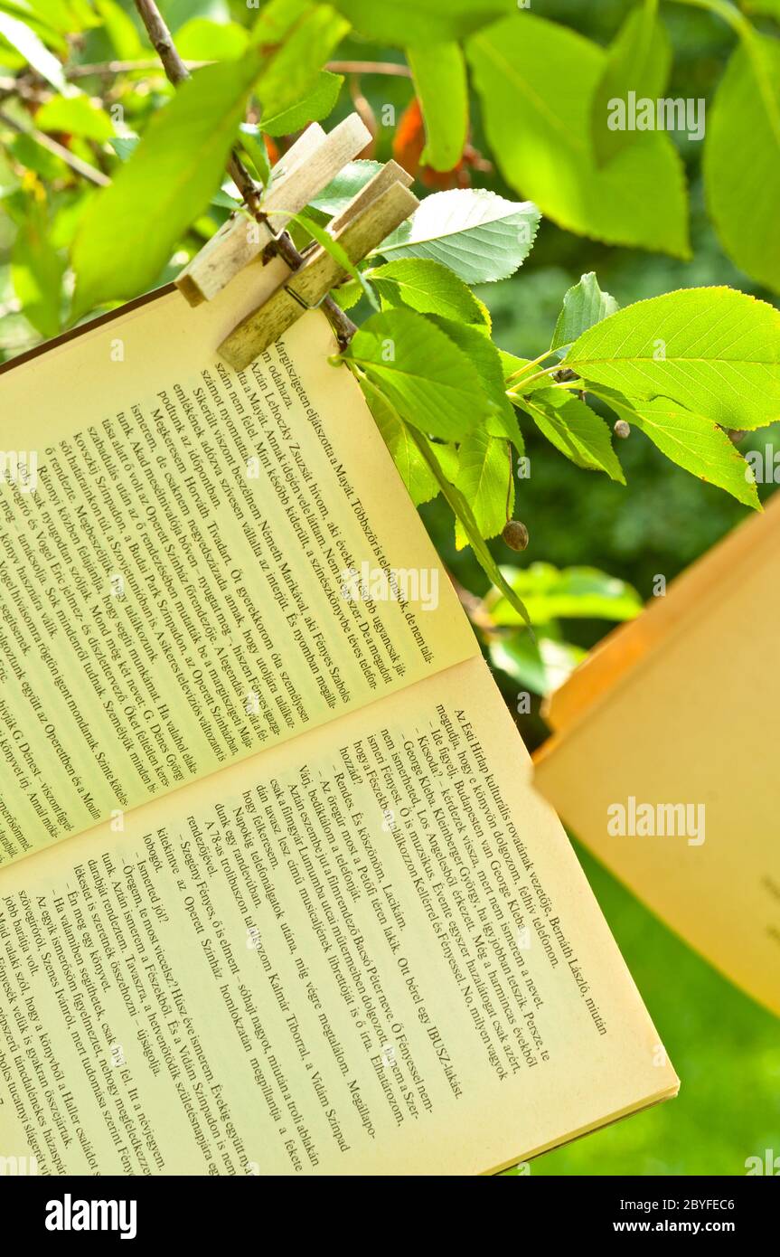 Tree books hi-res stock photography and images - Alamy