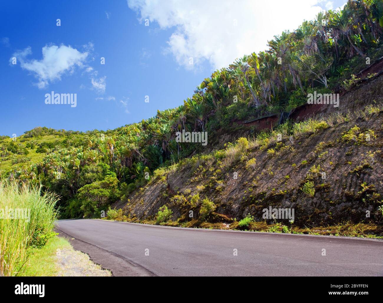 Mauritius. The road in mountains Stock Photo - Alamy