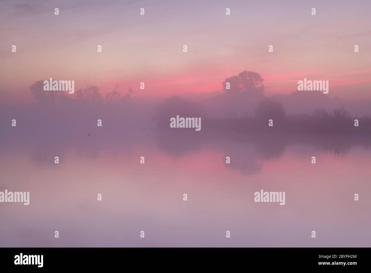 Misty red hi-res stock photography and images - Alamy