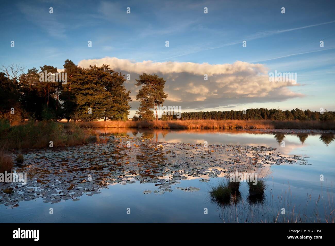Sunlight over the lake hi-res stock photography and images - Alamy