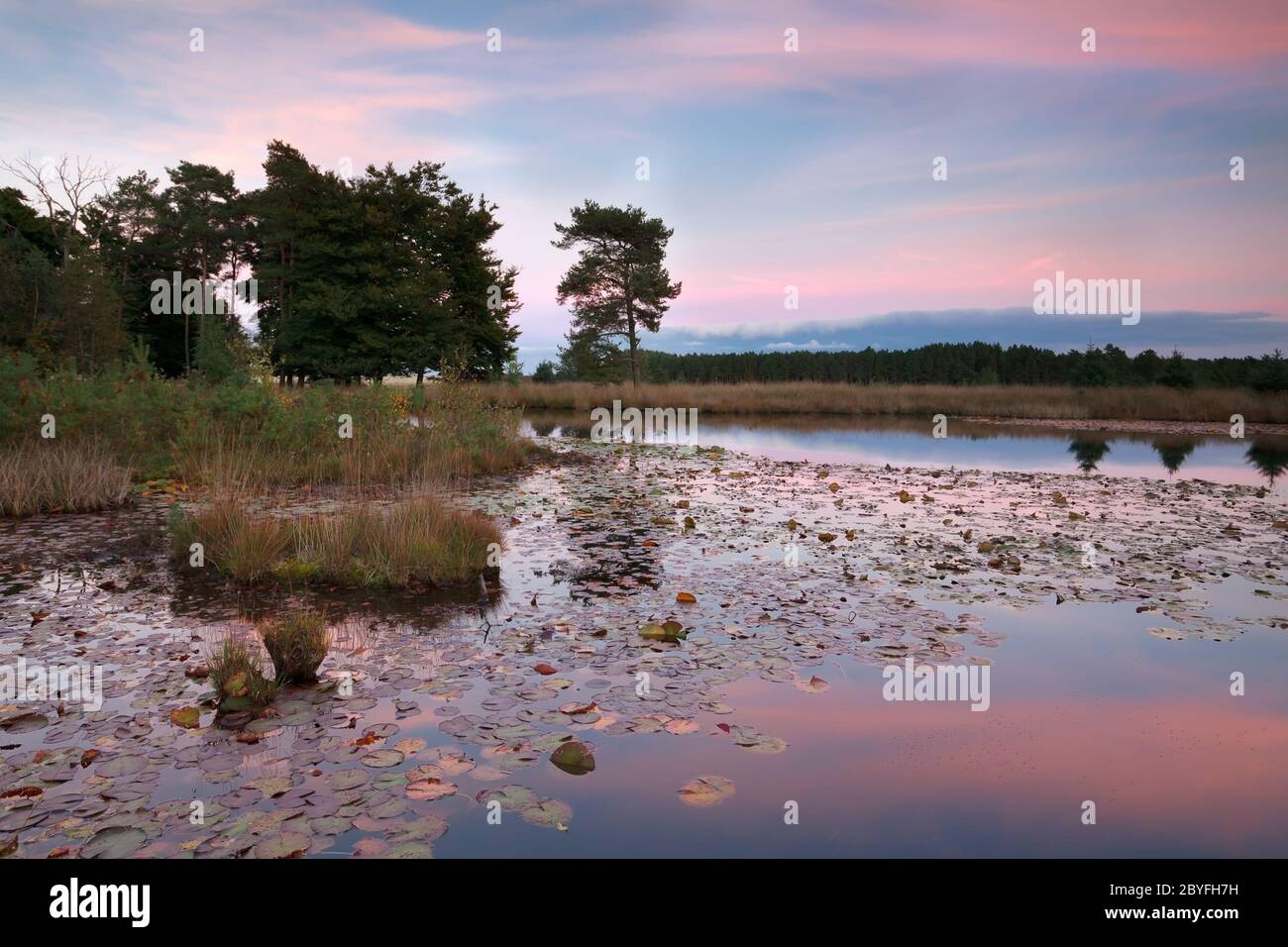 Pink sunset water hi-res stock photography and images - Alamy