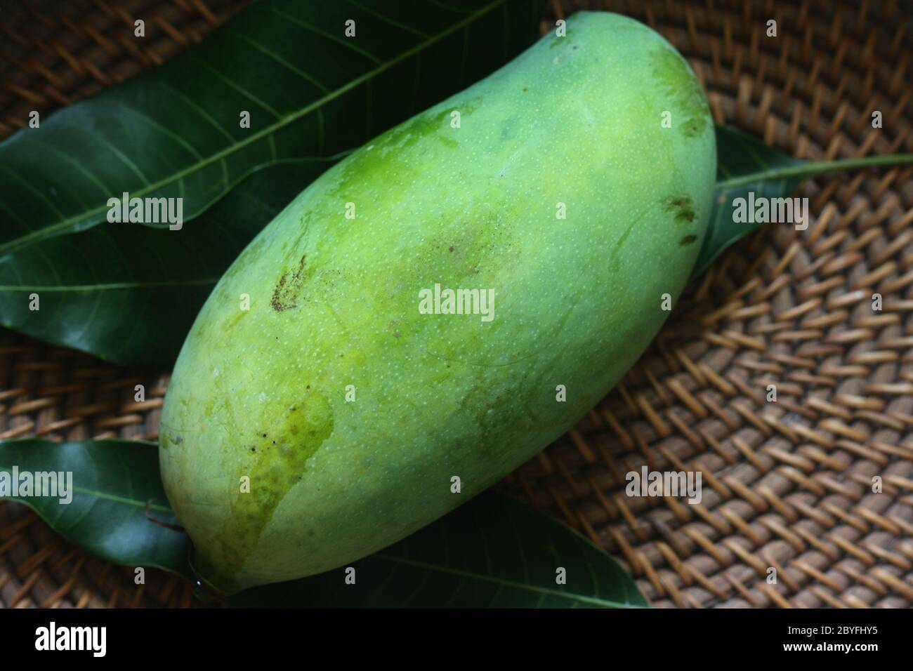 One fresh harvest mango top view on weave tray Stock Photo - Alamy