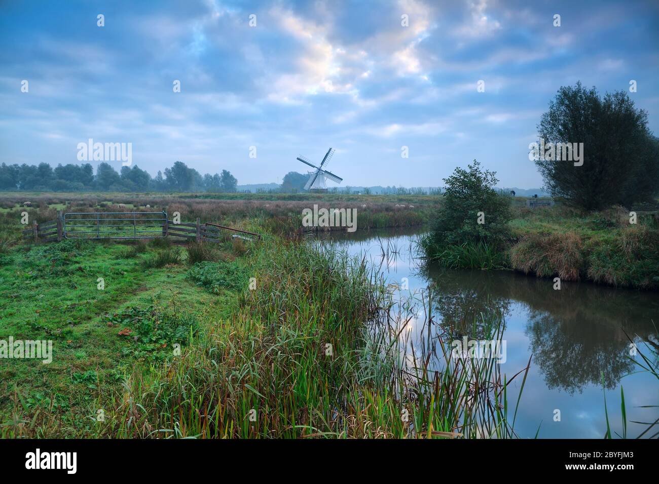 Dutch windmill and blue morning sky Stock Photo - Alamy