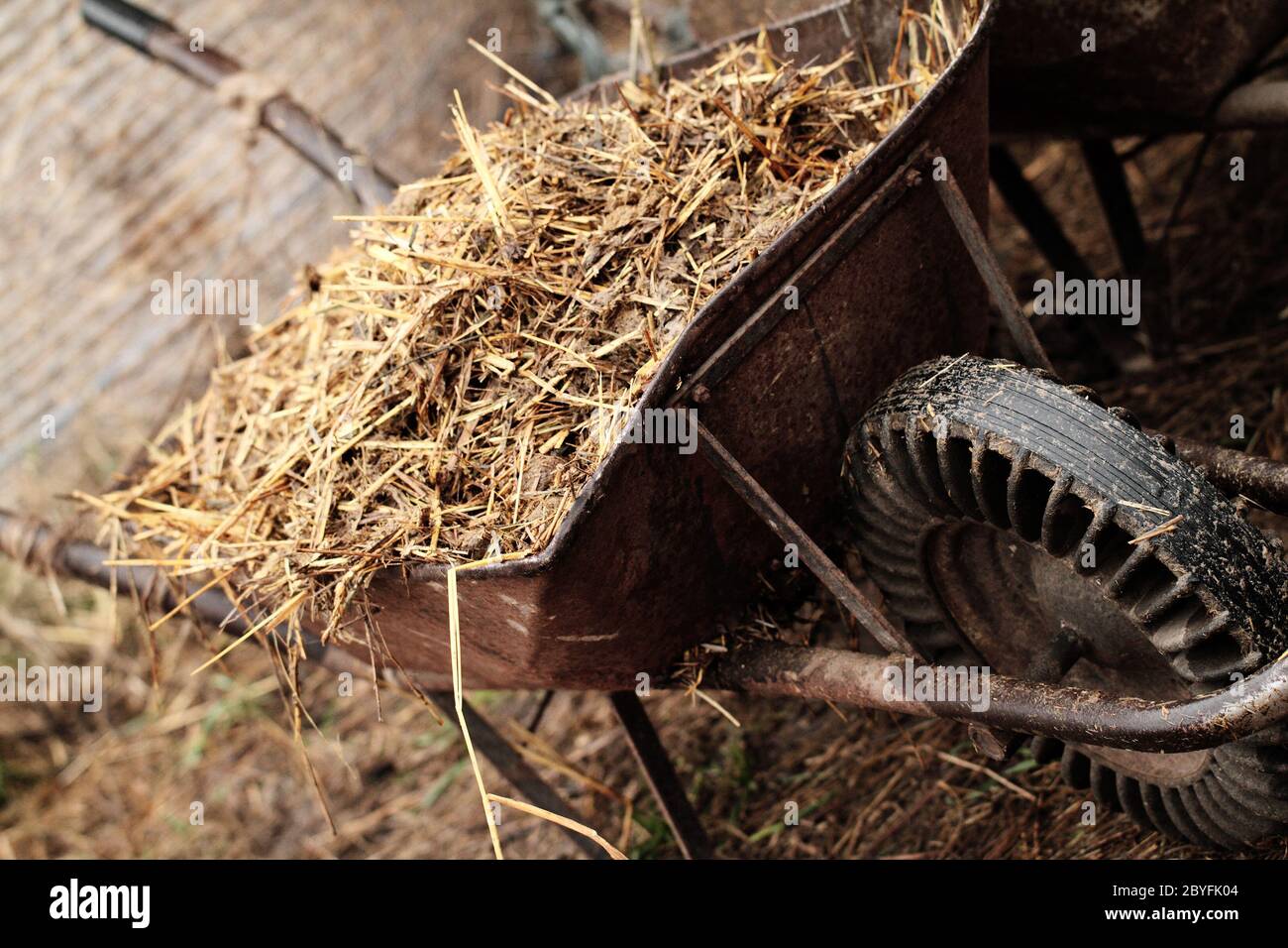 Wheelbarrow close up hi-res stock photography and images - Alamy