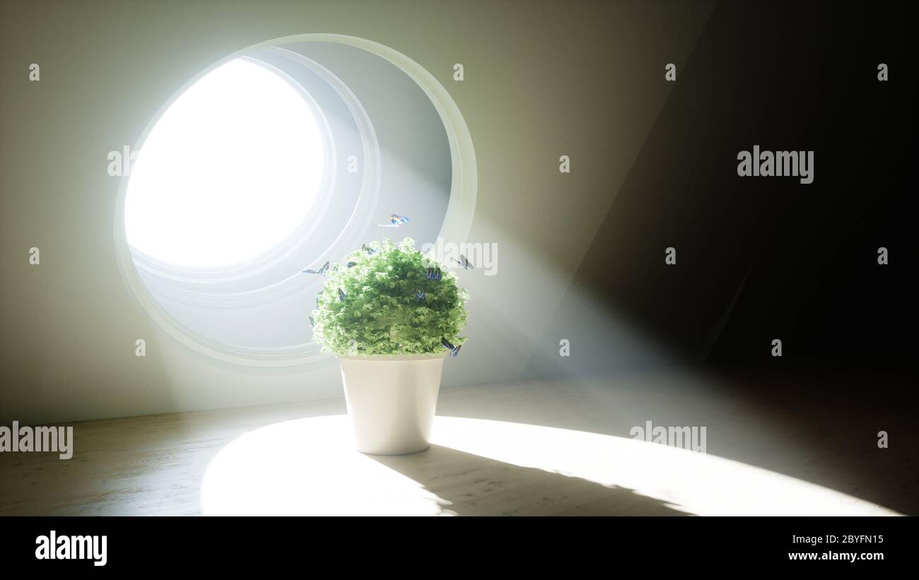 Futuristic room with flower pot and butterflyes around. Volumetric ...