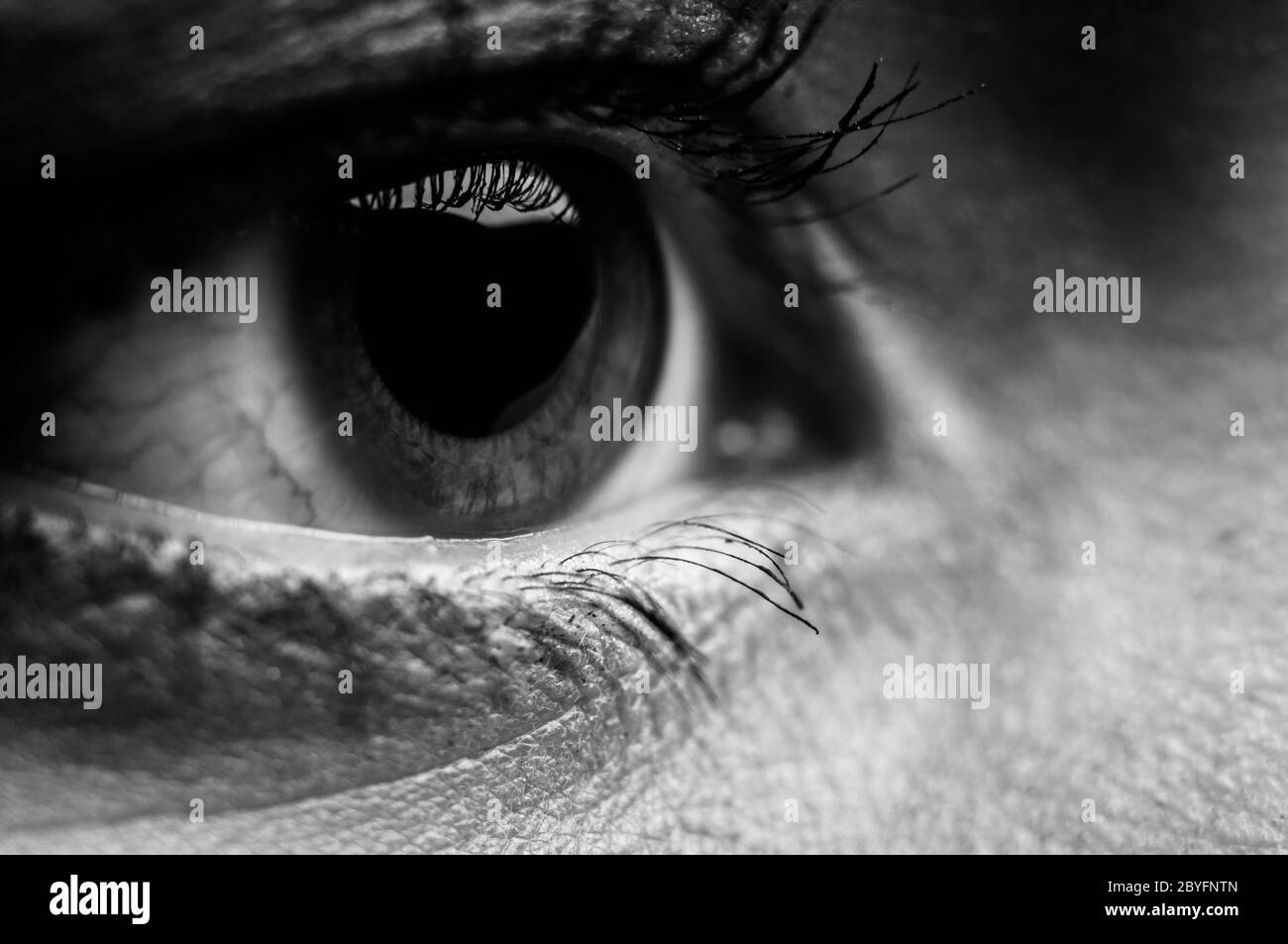 Closeup closeup hi-res stock photography and images - Alamy