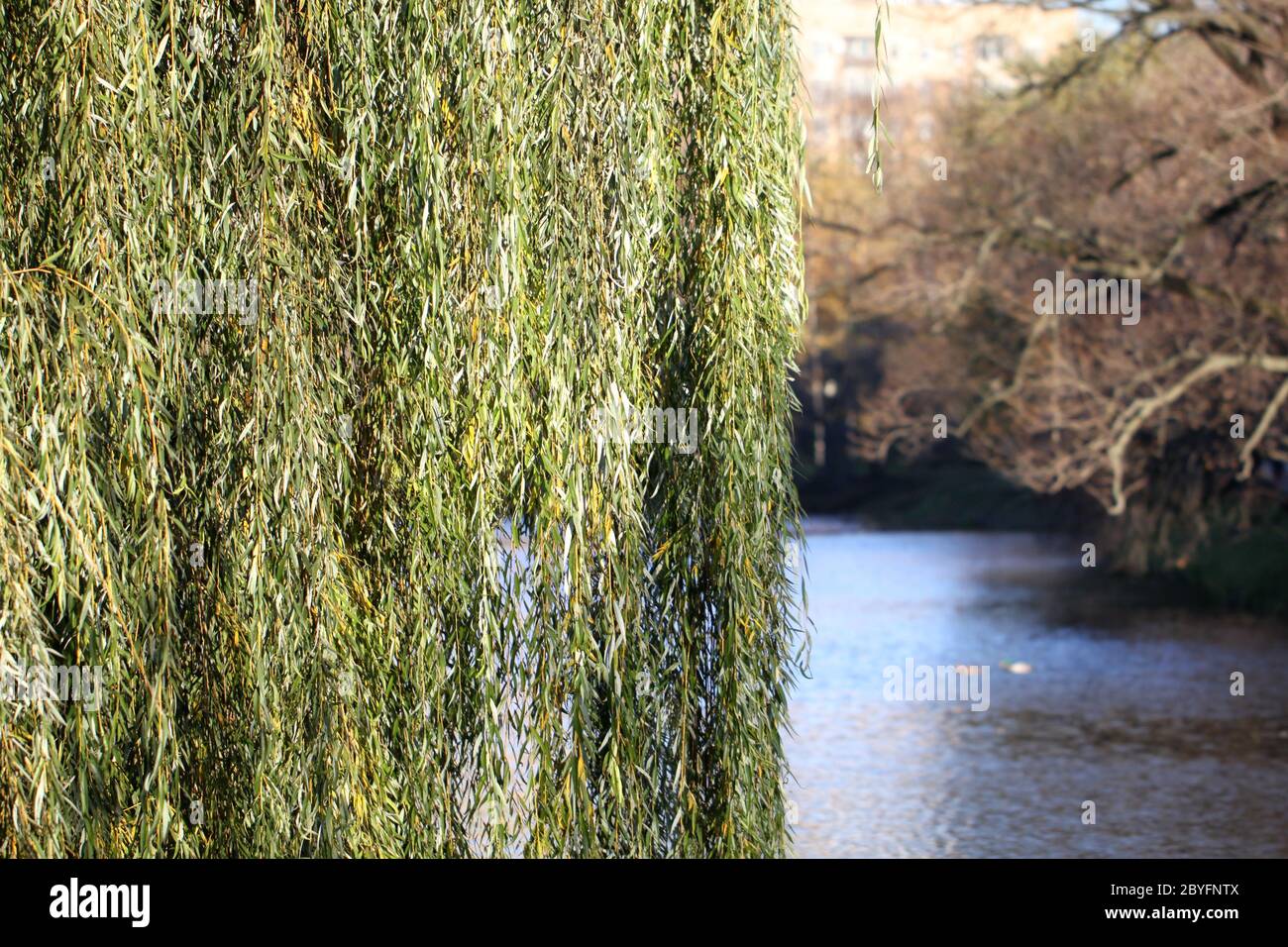 Sun coming down hi-res stock photography and images - Alamy