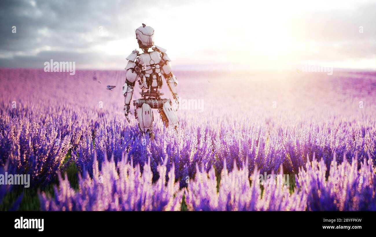 Military robot, cyborg with gun in lavender field. concept of the ...