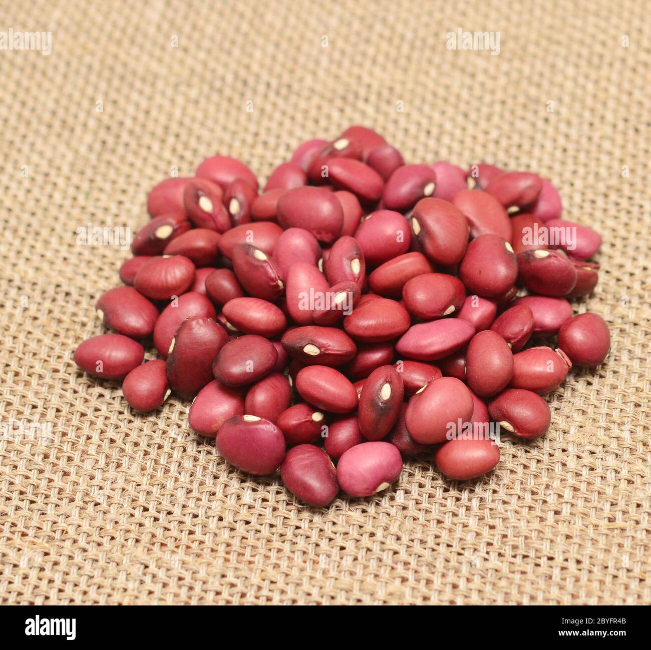 Dark red kidney hi-res stock photography and images - Alamy