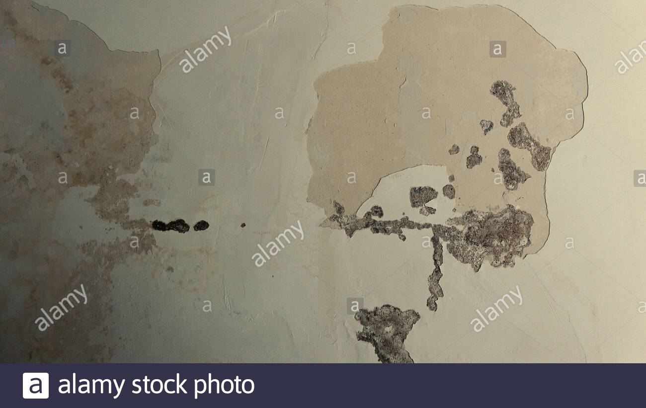 Plaster Heavy High Resolution Stock Photography and Images - Alamy