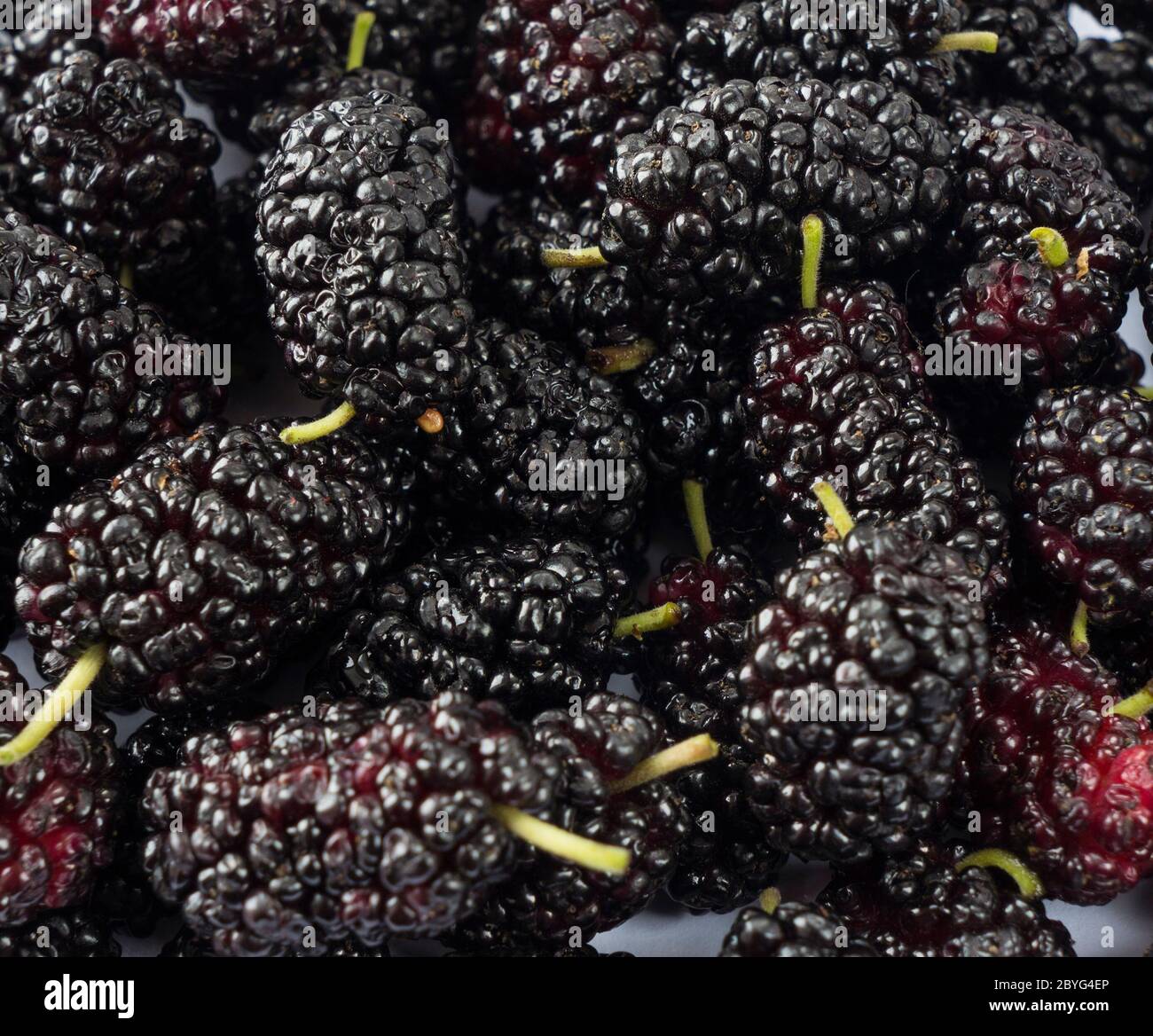 Fresh mulberries background. Texture mulberries close up Stock Photo ...