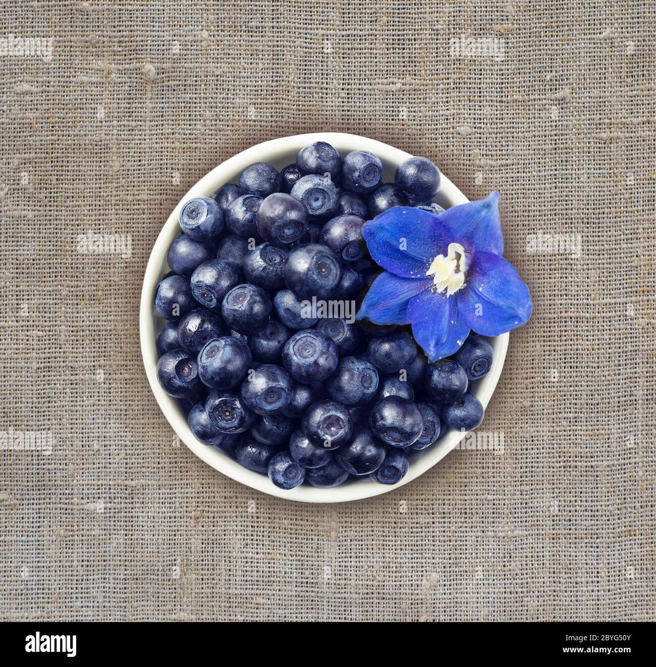 Top view. Bilberres and blue flower. Ripe blueberries with copy space ...